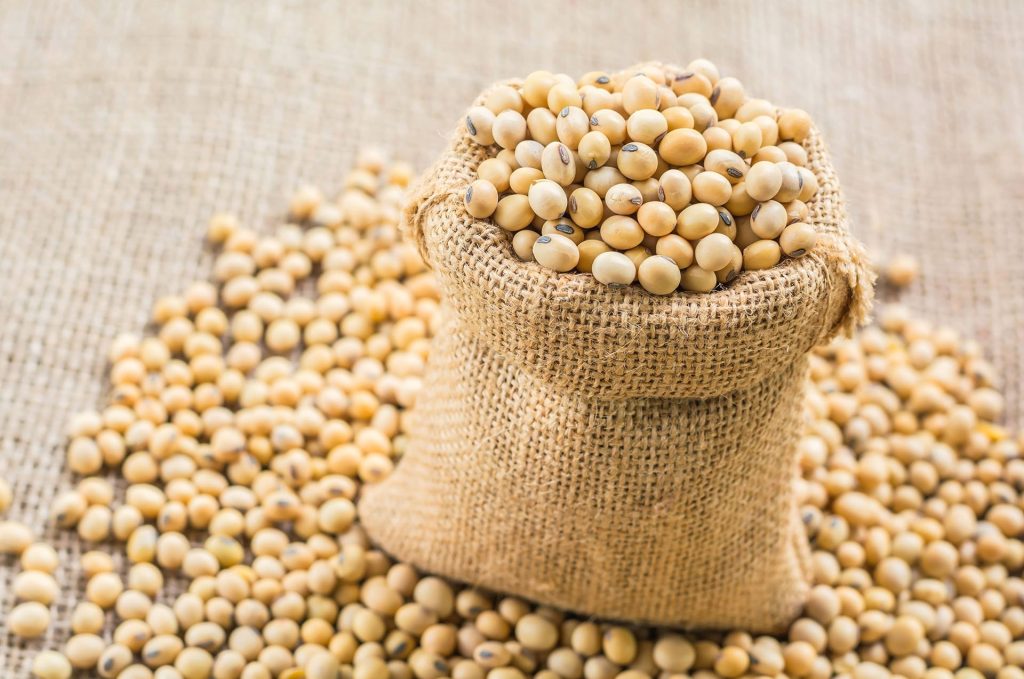 RTRS Producción – Round Table on Responsible Soy - Certificaciones